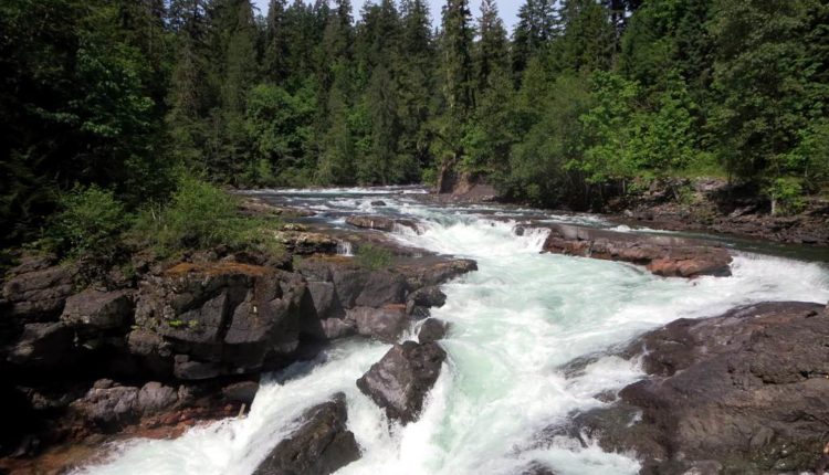 Port Alberni Water Temperature: Forecasts & current water temp