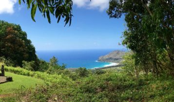 Hawaii: Water Temperature: Forecasts & current water temp