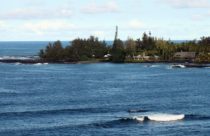 Maui Hawaii Water Temperature: Forecasts & current water temp