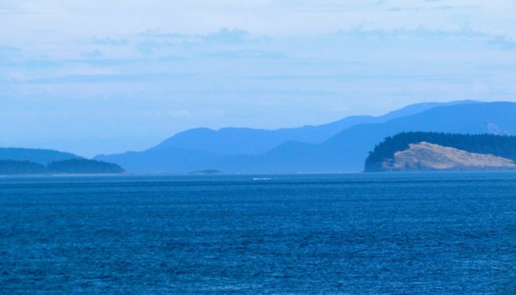 Friday Harbor Water Temperature: Forecasts & current water temp