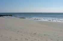 Ocean City New Jersey Water Temperature: Forecasts & current water temp