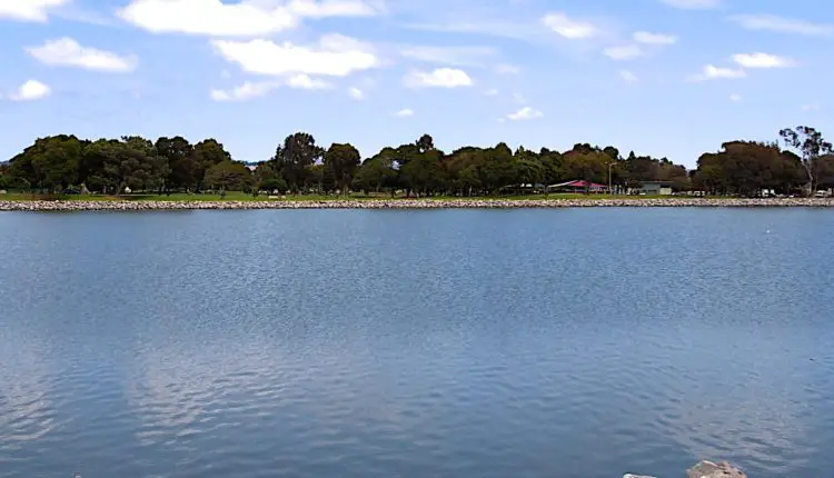 San Leandro Water Temperature: Forecasts & current water temp