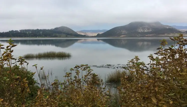 Morro Bay Water Temperature: Forecasts & current water temp