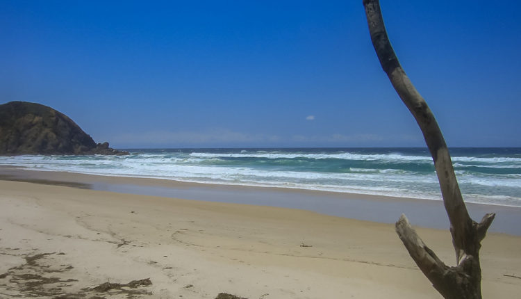 Byron Bay Water Temperature: Forecasts & current water temp