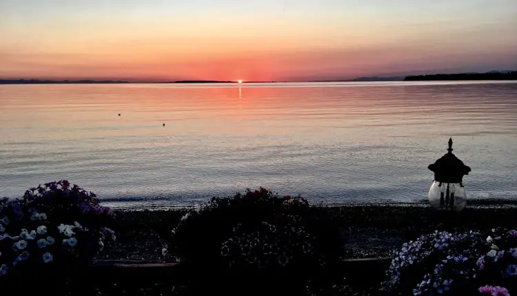 White Rock Water Temperature: Forecasts & current water temp