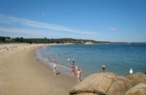 Cape Cod Water Temperature: Forecasts & current water temp