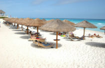 Costa Maya Water Temperature: Forecasts & current water temp