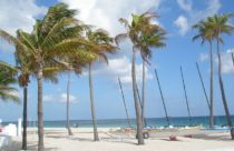 Miami Beach Water Temperature: Forecasts & current water temp