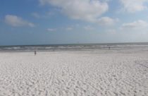 Key West Water Temperature: Forecasts & current water temp