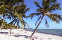 Key Largo Water Temperature: Forecasts & current water temp