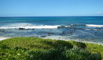 Hawaii: Water Temperature: Forecasts & current water temp